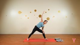 360 Degree Shoulder Function: Range of Motion & Stability | Jenni Tarma ...