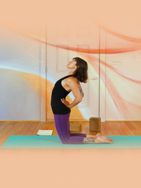 YogaVibes | Online Yoga Videos and Live Classes